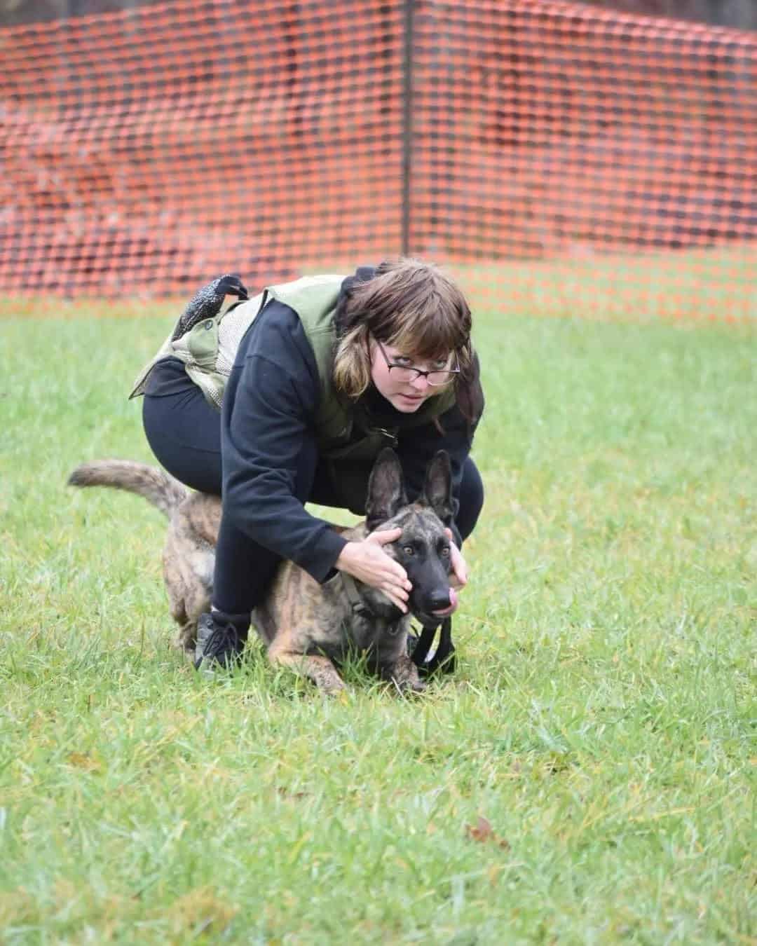 About | Greenside Canine Training